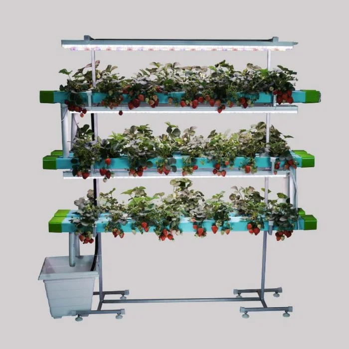 48 Plant Indoor Hydroponic System with GI Structure - INHYDRO ...