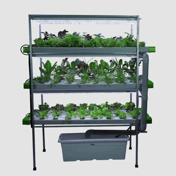 96 Plant Indoor Hydroponic System with GI Structure - INHYDRO ...