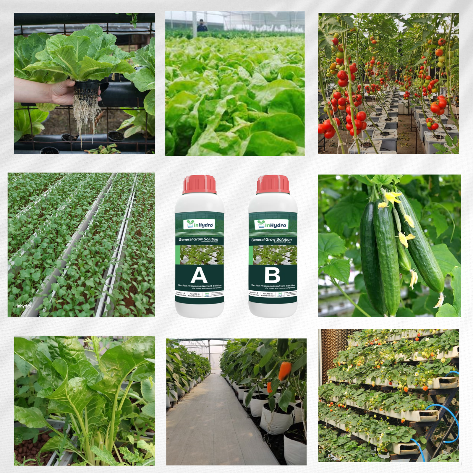 General Grow Nutrient Ideal for Plants - INHYDRO – Hydroponics Farming ...